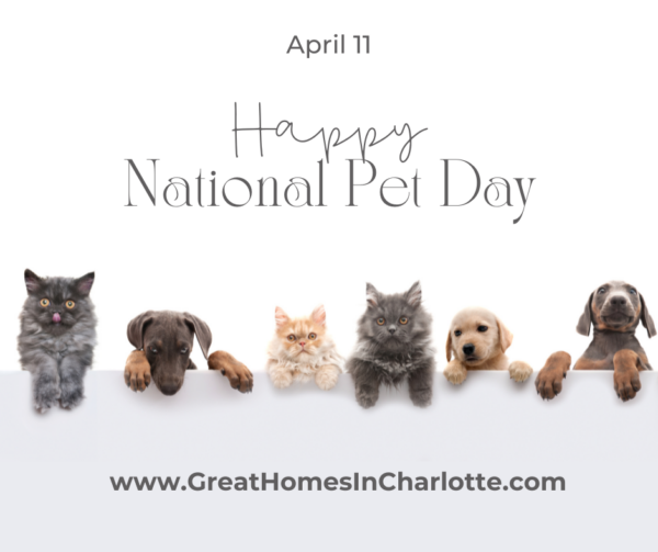 National Pet Day: 7 Purrfect Ways To Celebrate - Nina Hollander ...