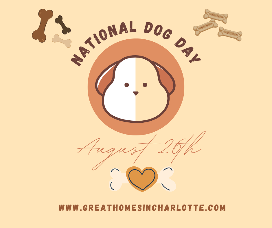Happy National Dog Day 2024! - Nina Hollander, Charlotte Real Estate Broker