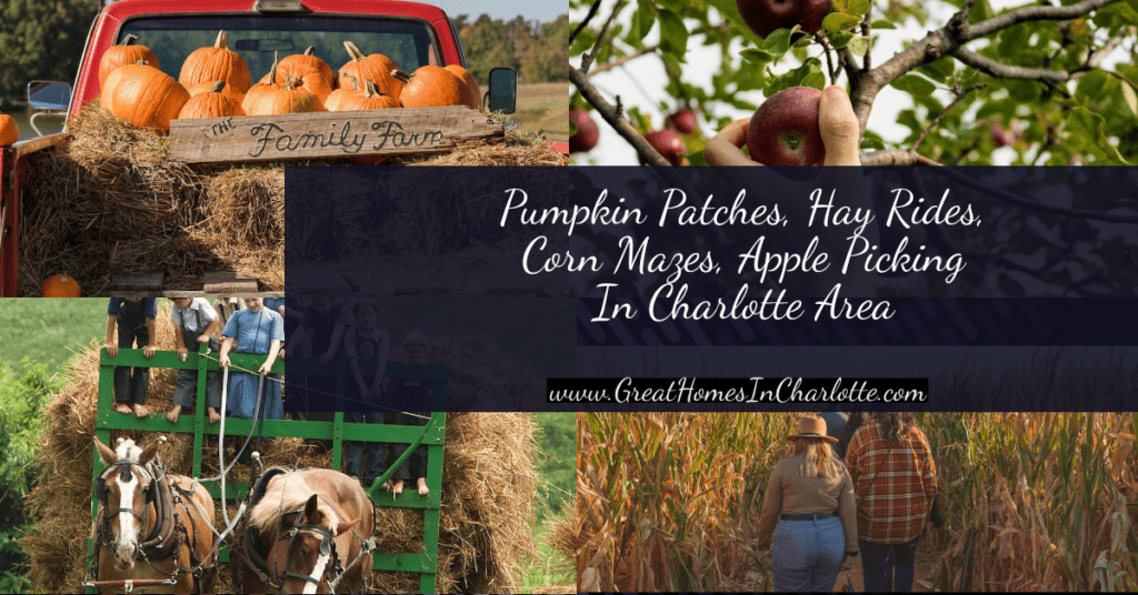 Charlotte Pumpkin Patches, Apple Picking, Corn Mazes, Hay Rides - Nina ...